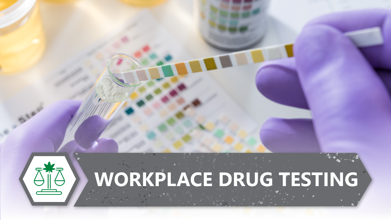 Drug Offense Statistics