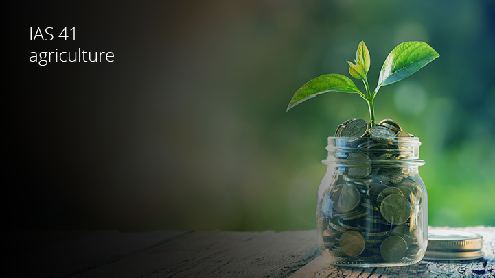 IAS 41 Agriculture